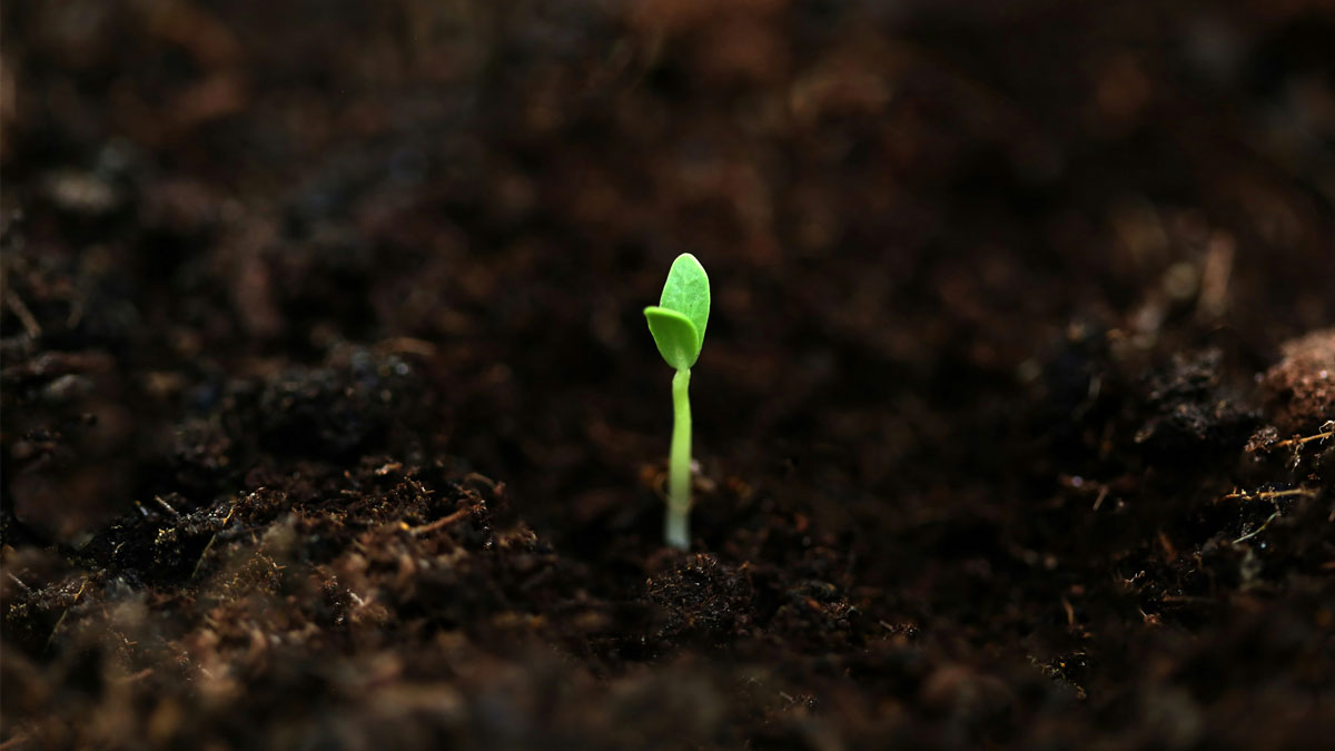 Ignitia - AgTech Incofin
